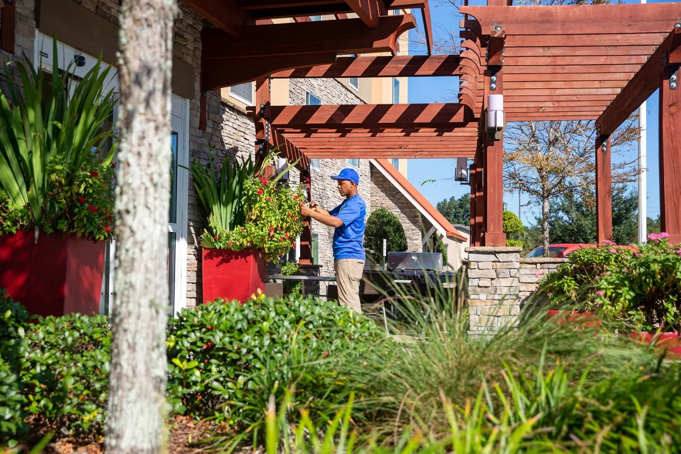Your Perfect Outdoor Oasis with Landscape Design and ‘Lawn Services Near Me’ in St. Augustine ...